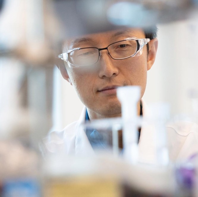 Historia - MSD Colombia