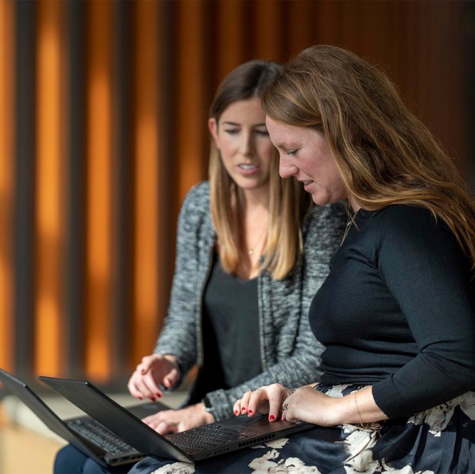 Proveedores - MSD Colombia